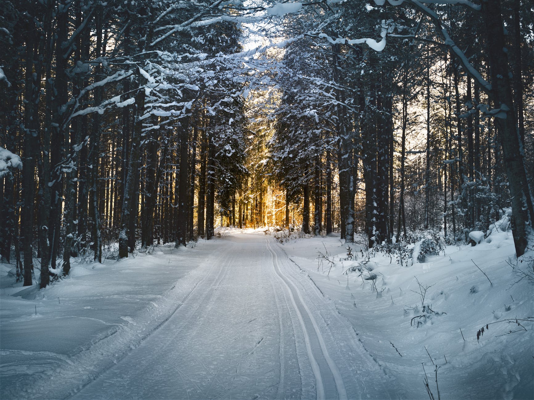 Being Outside in January: How Braving the Cold has Benefited our Family ...